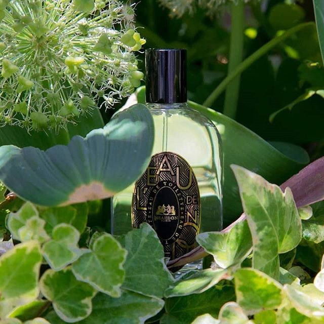 Fresh musky: L'Eau de Phaedon.... | Bloom Perfumery London