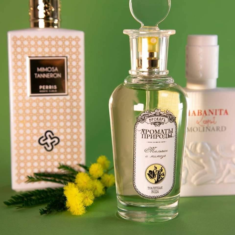 Notable mimosa perfumes | Bloom Perfumery London
