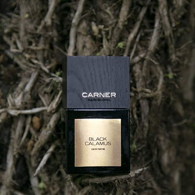 Rare perfume ingredients: calamus | Bloom Perfumery London