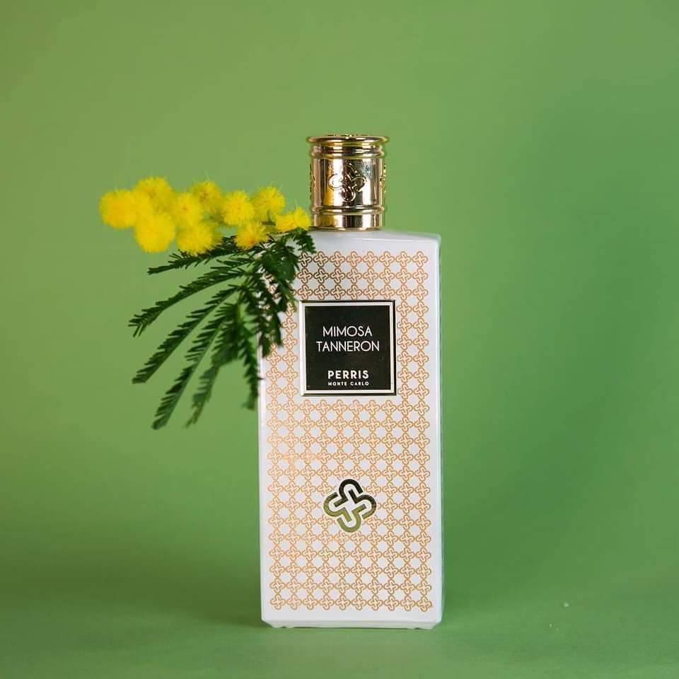 Notable mimosa perfumes: Mimosa Tanneron | Bloom Perfumery London