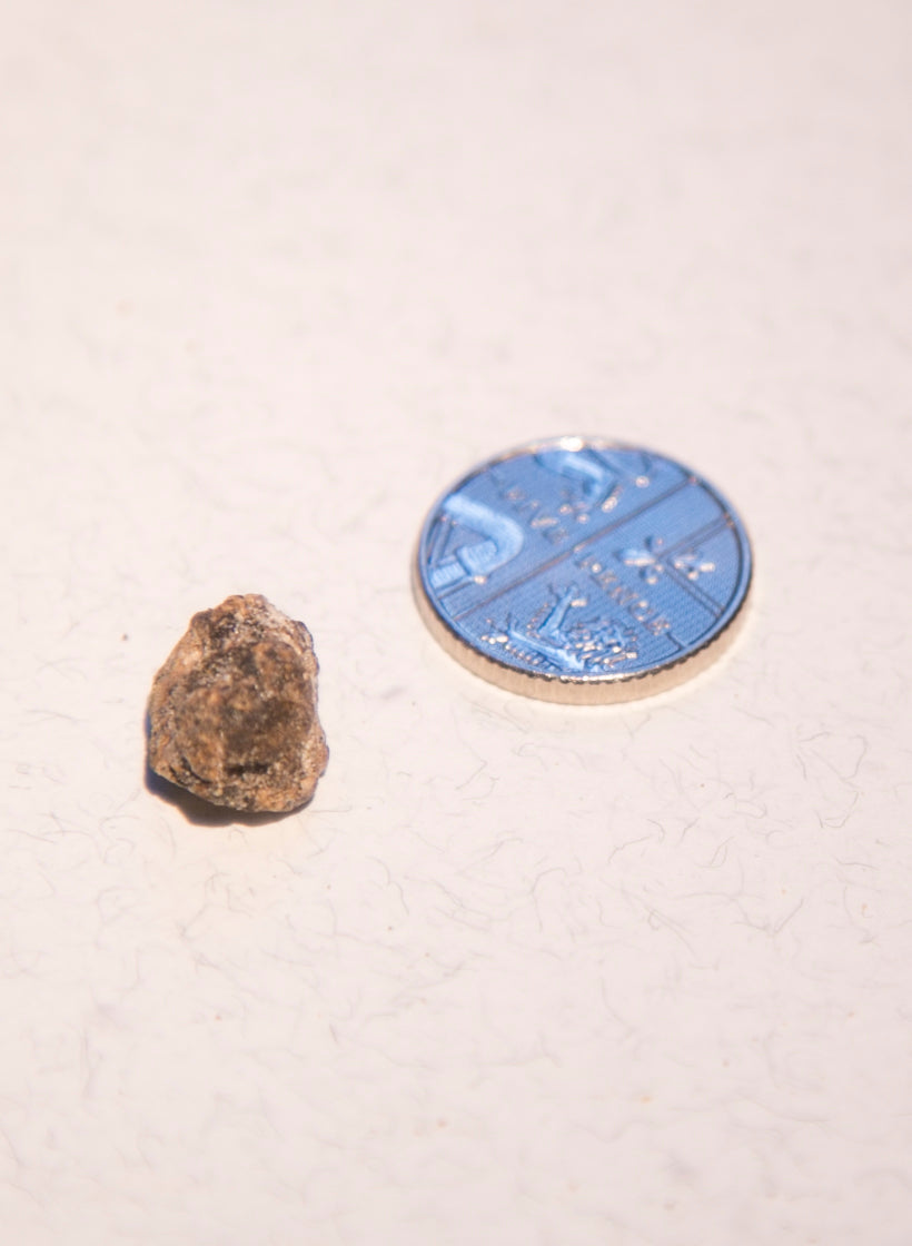 White Ambergris 0.32 g SOLD | Natural Ambergris عَنْبَر | Bloom ...